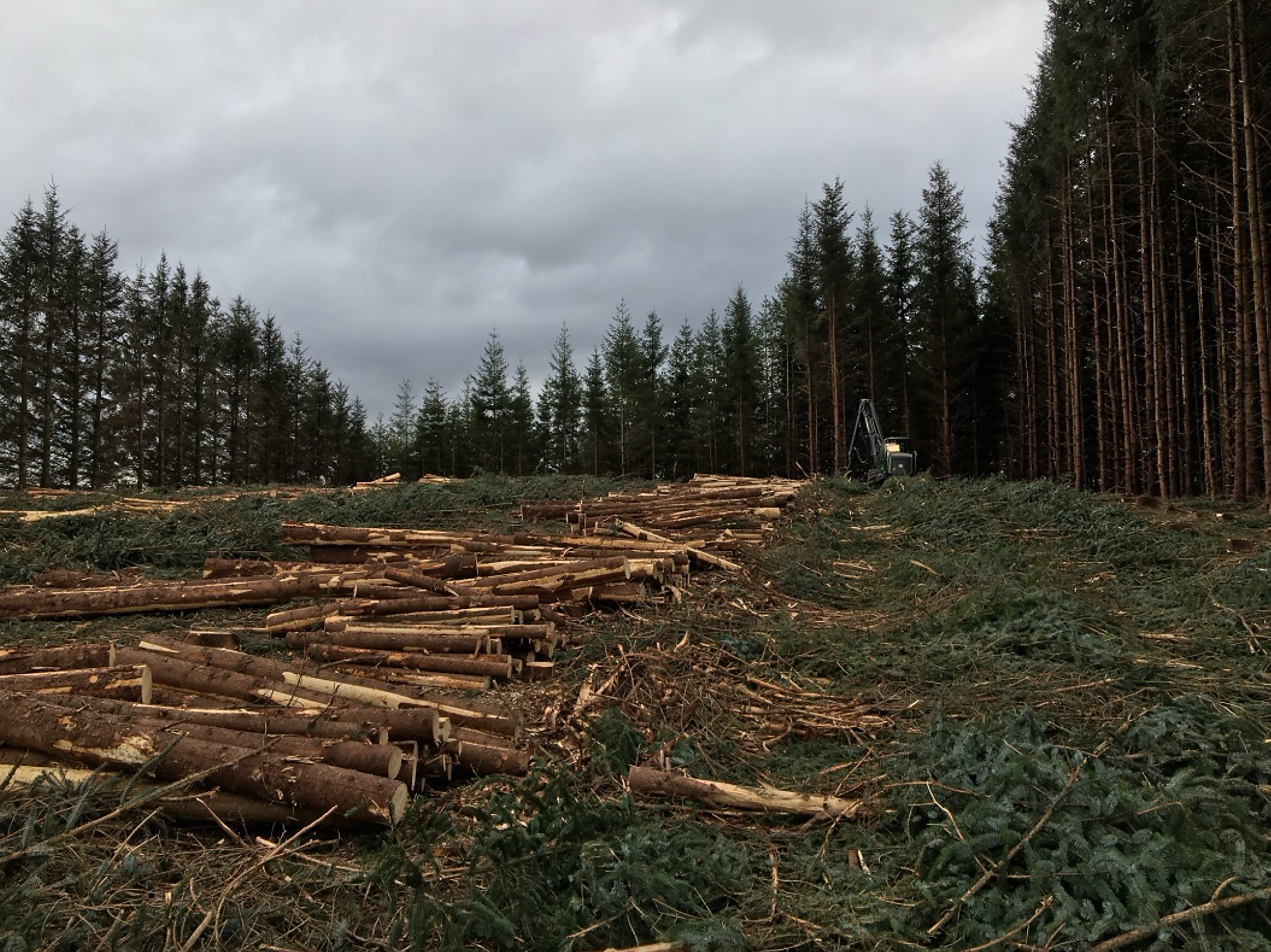 Barnshalloch Moor | EGGER Forestry