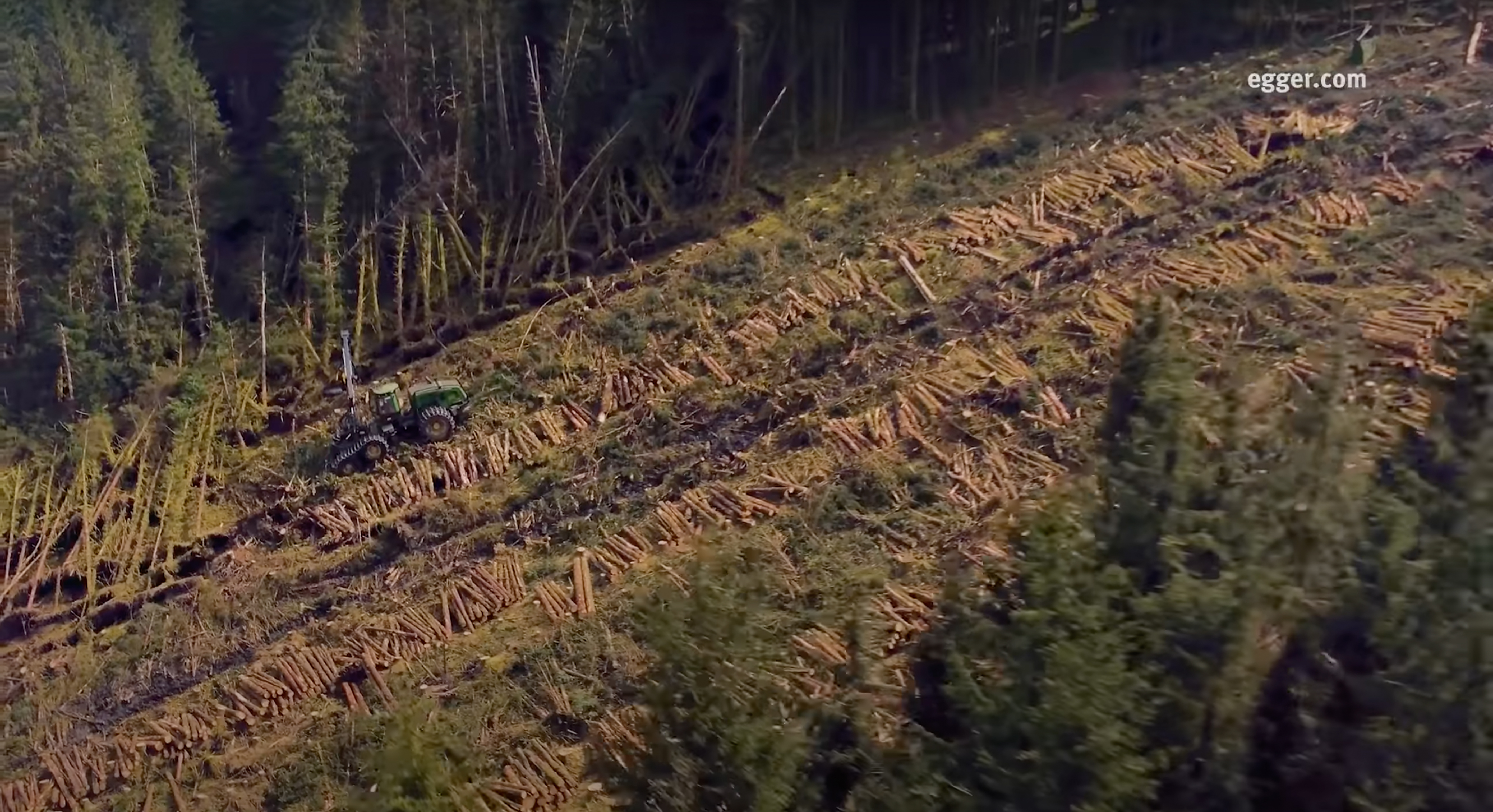 EGGER Forestry Case Study: Craigeller, Shinnelhead