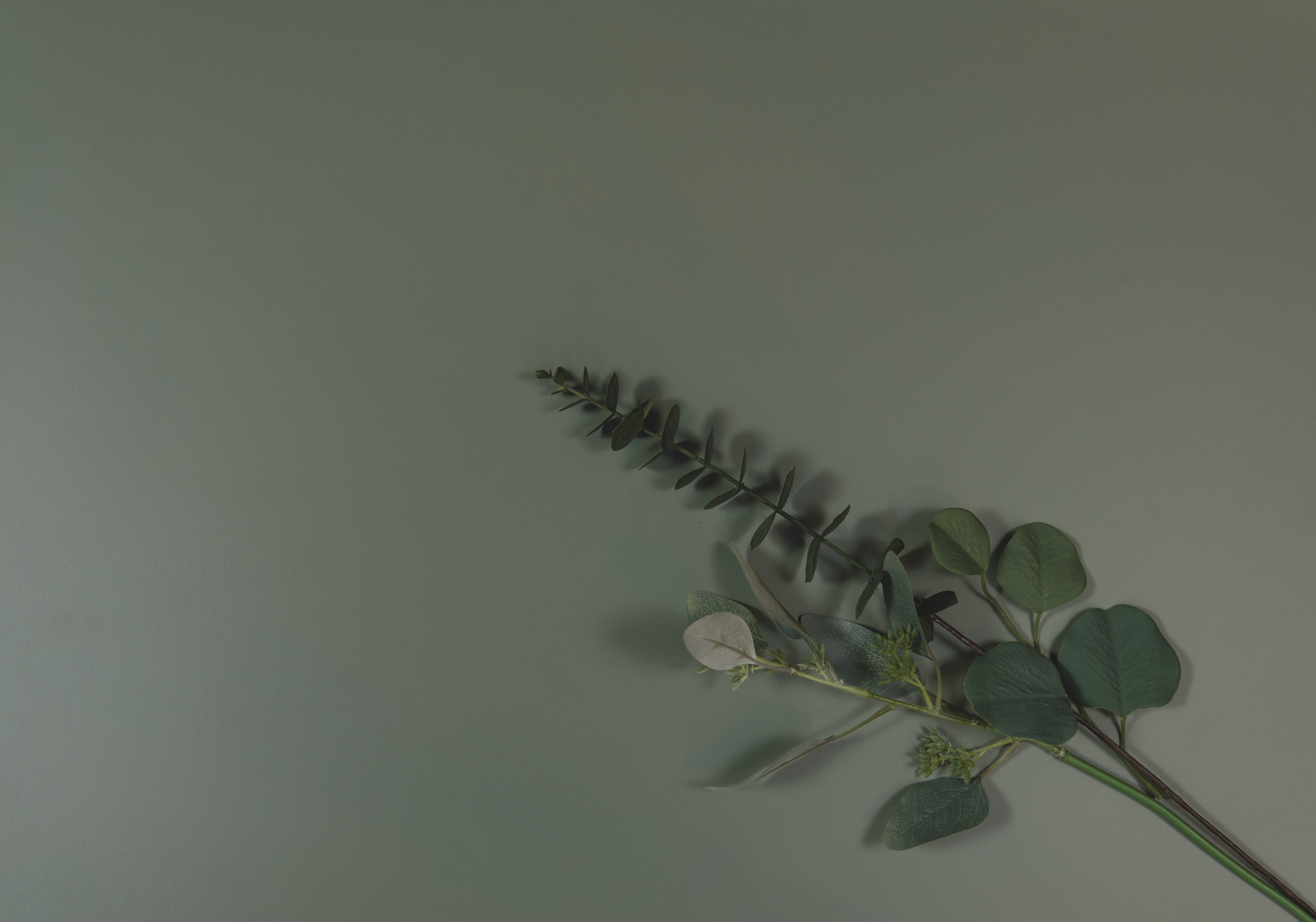 EGGER Insights: Silent Solid Colours