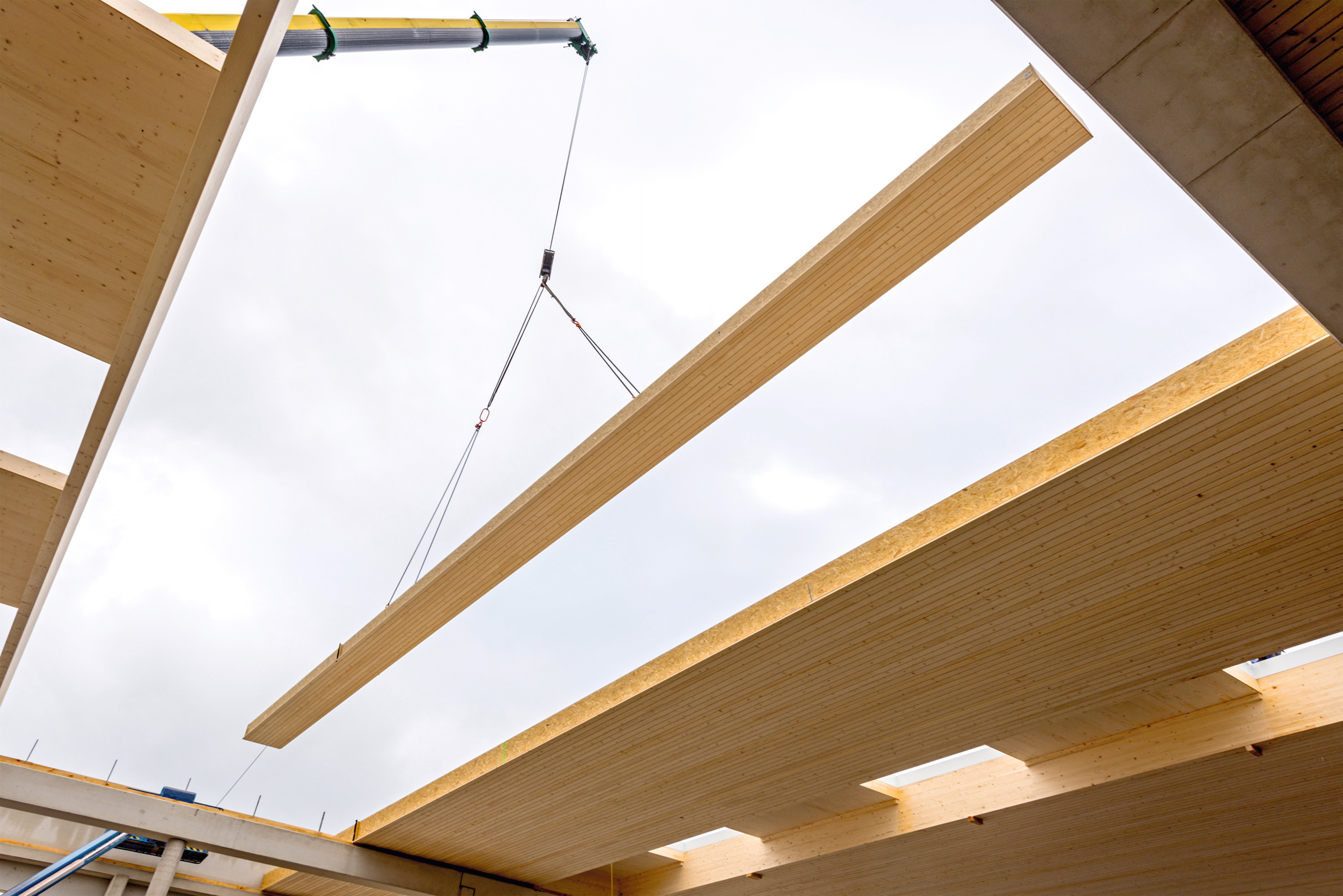 OSB3 boards in roofing structure: DIY store | EGGER