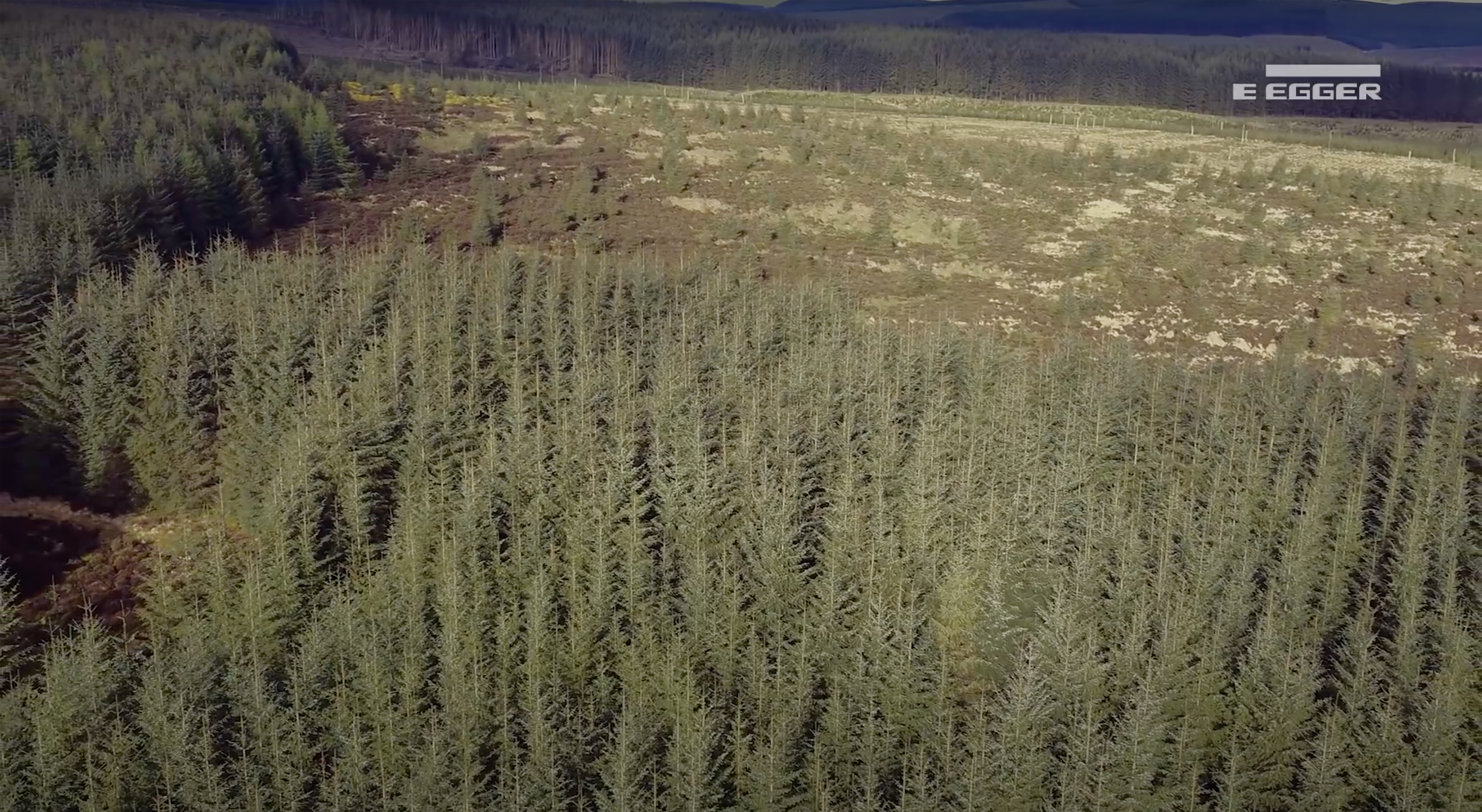 EGGER Forestry Case Study: Kidland Forest Complex