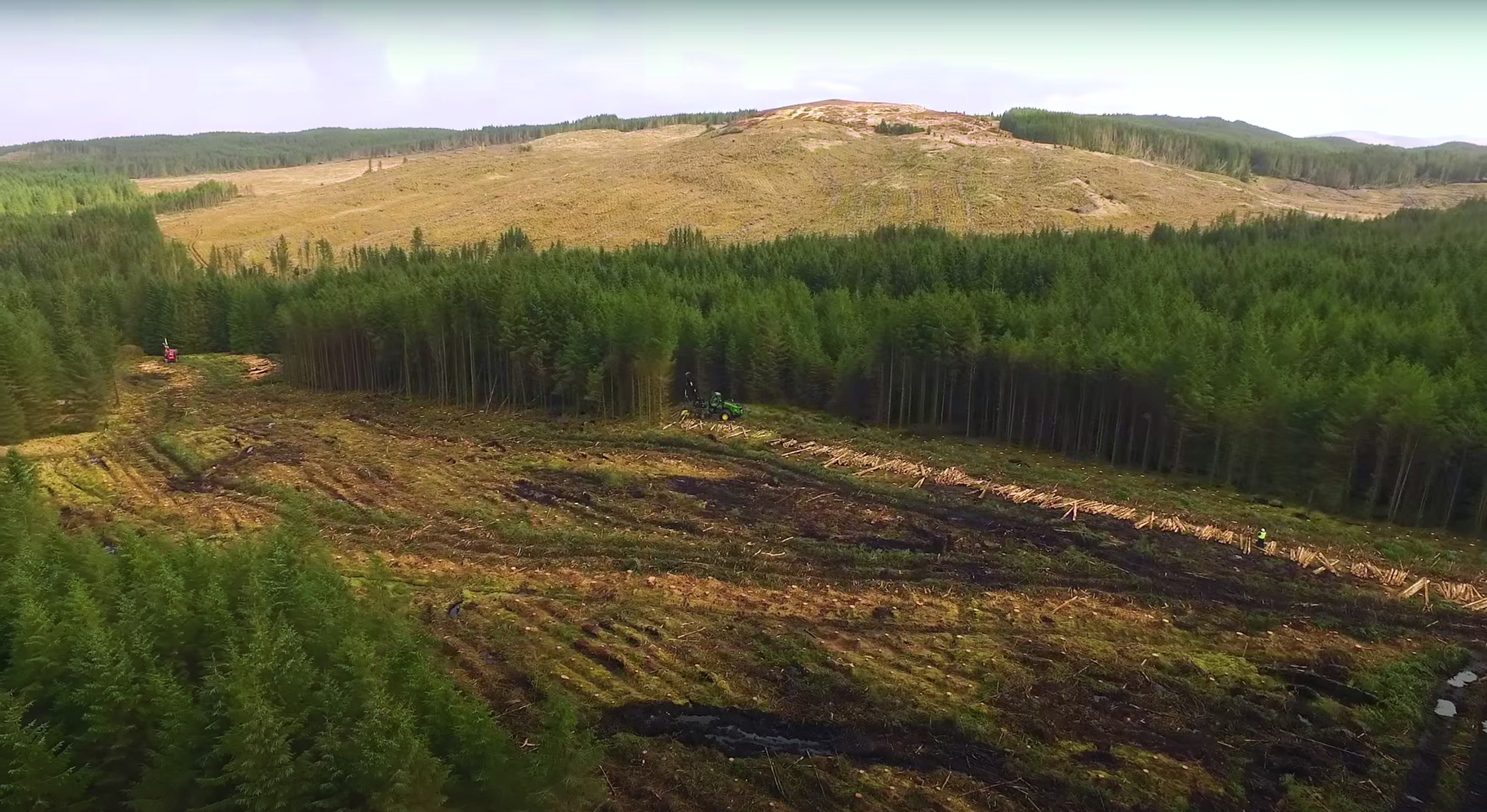 Forestry Case Studies | EGGER Forestry