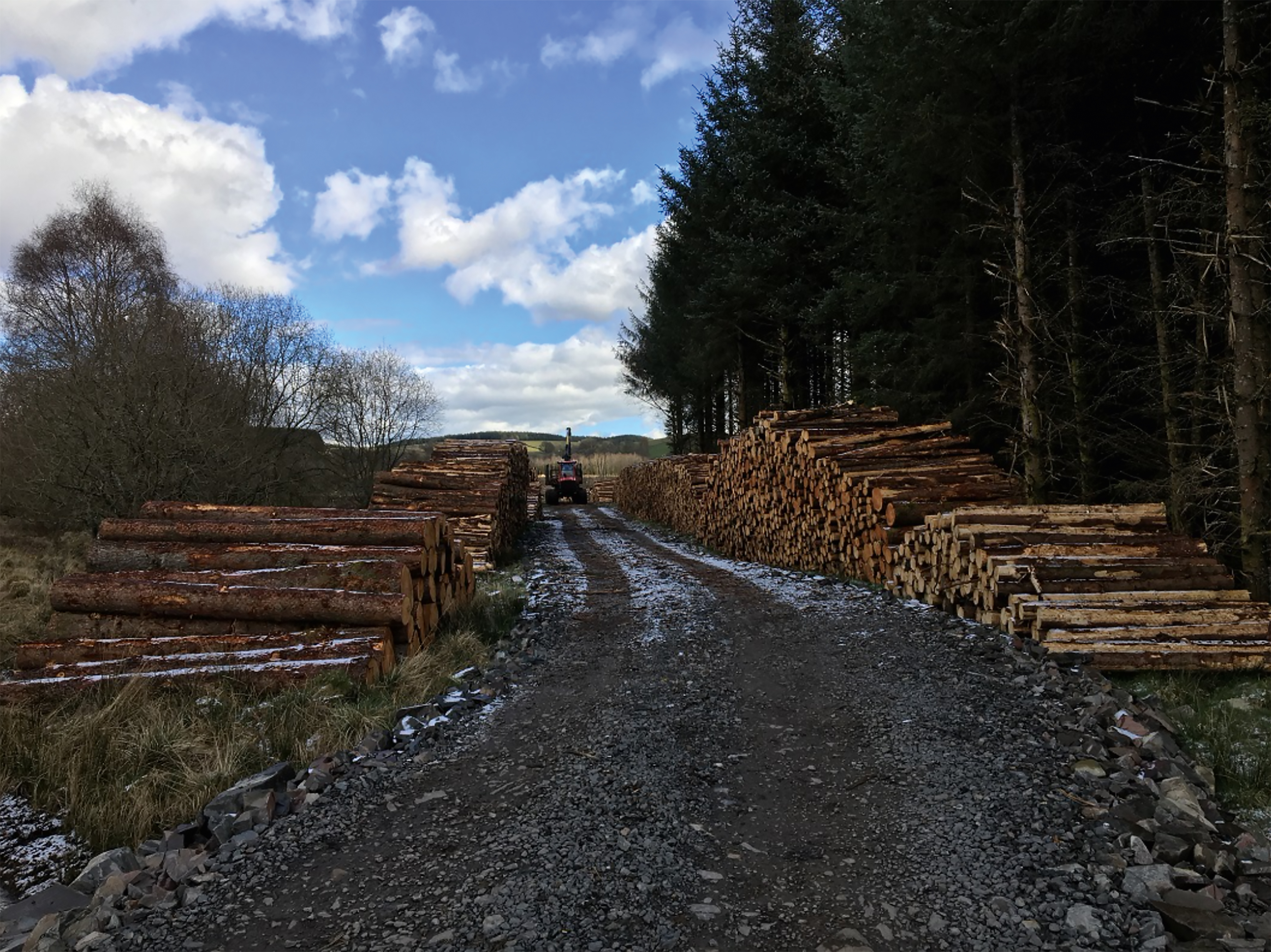 Barnshalloch Moor | EGGER Forestry